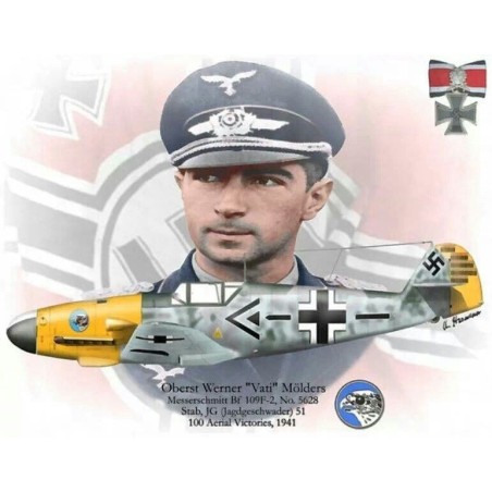 Bf -109 tail .Werner Mölders .1/32 scale