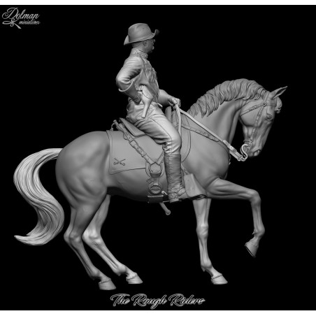 The Rough Riders.Scale 80mm